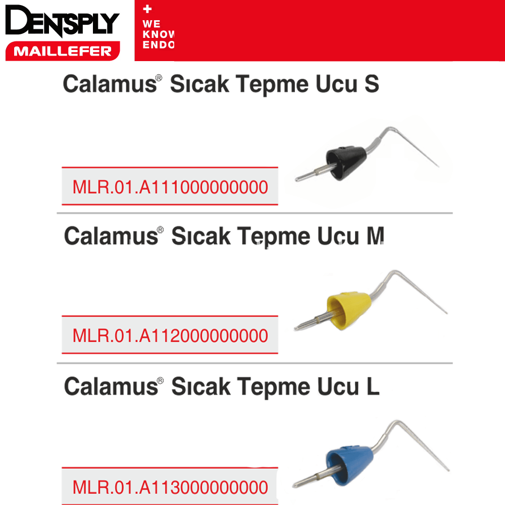 Dentsply-Sirona - Calamus Dual Bits – DentrealStore